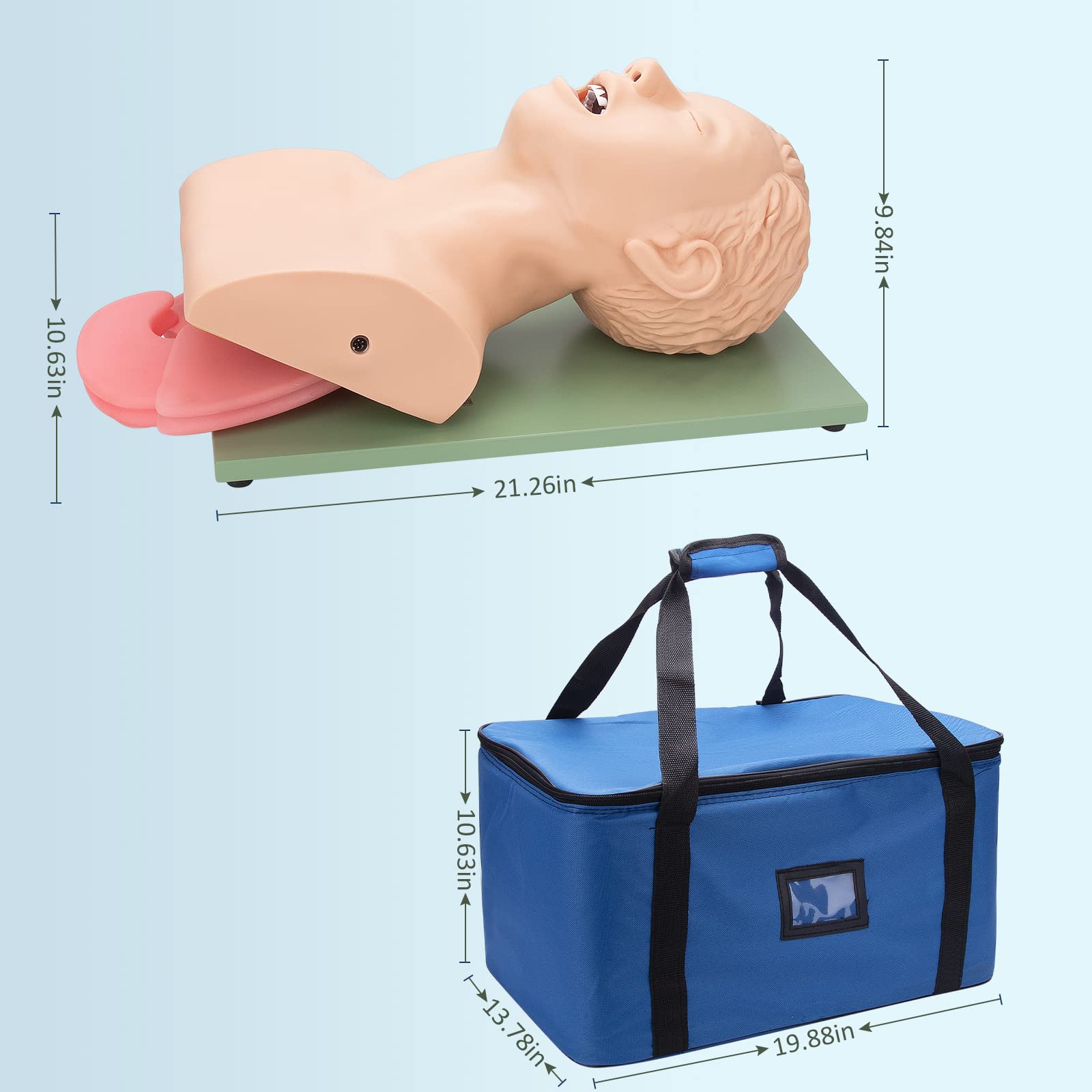 Mua Intubation Human Model Simulator- Endotracheal Intubation Manikin ...