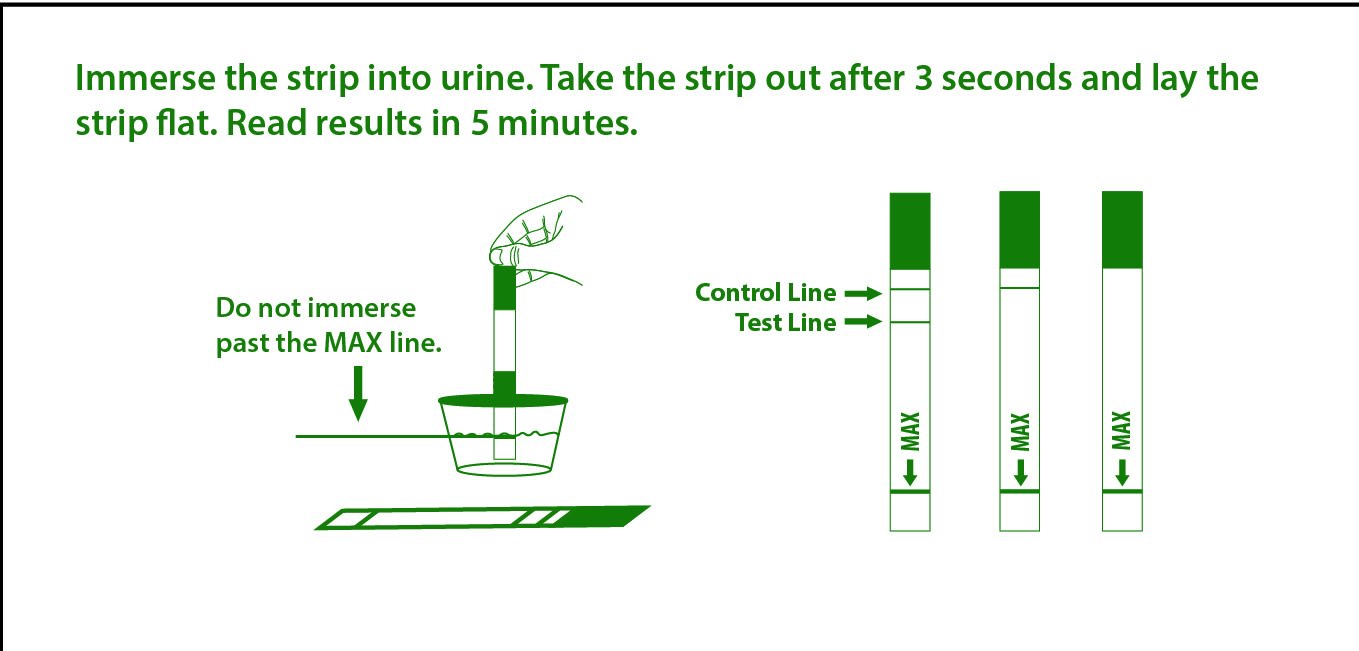 Amazon.com: 1 Pregnancy Test Strip: Health & Personal Care
