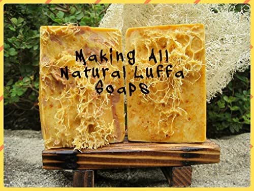 Amazon.com: Luffa Soap, All Natural Luffa Soap, Exfoliating Soap, Vegan ...
