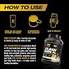 PVL Gold Series - Clean Mass XL - The Clean Muscle Mass Gainer - 5 LB ...