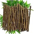 Amazon.com : Ayurvedic Natural Organic Neem Datun, Manual Toothbrush ...