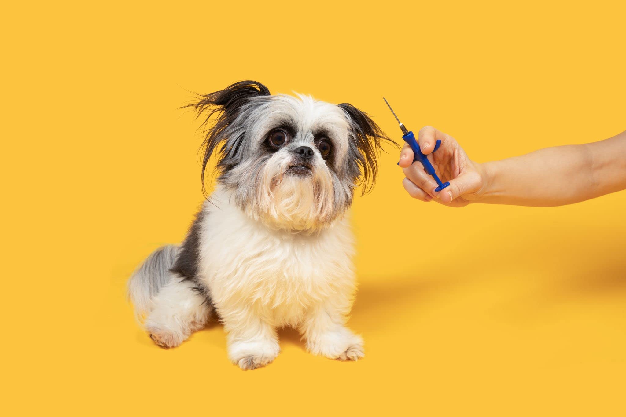 Mua petkey ISO Pet Mini Microchips 10 Count Box trên Amazon Mỹ chính ...