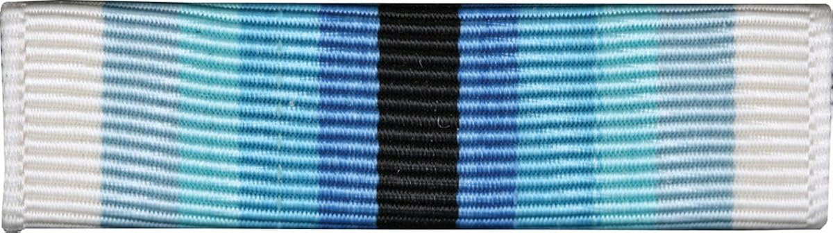 Amazon.com: Coast Guard Arctic Service-Ribbon: Brooches And Pins: Clothing