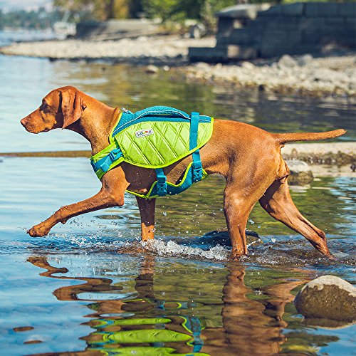 Dog Life Jacket Standley Sport High Performance Life Jacket for Dogs by ...