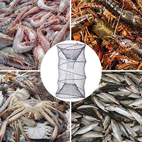 Portable Collapsible Crab Traps Foldable Crabbing Nets for Lobster ...