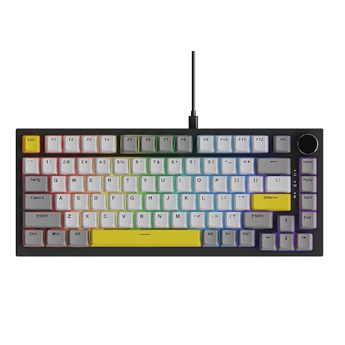 AJAZZ KA820 75% Wired RGB Hot Swap Mechanical Keyboard with Volume Knob ...