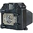Amazon.com: Epson RW9143 ELP LP77 Projector Lamp - UHE: Electronics