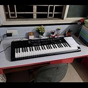 Casio CTK-3500 61-Key Portable Keyboard, Black: Amazon.in: Musical ...