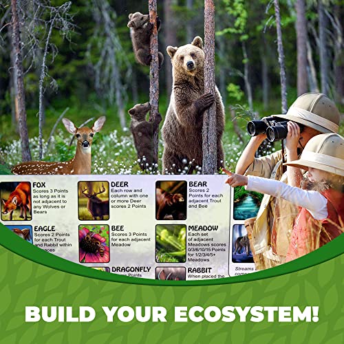 Ecosystem - A Family Card Game About Animals, Their Habitats, And ...
