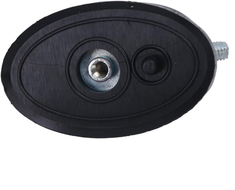 sengear – AM/FM Radio Antenna Base Is Placed to Ceiling – BigaMart