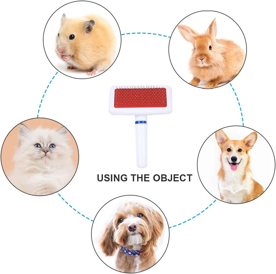 M.Q.L. Slicker Hair Brush for Rabbit and Guinea Pig, Small Pet Grooming ...