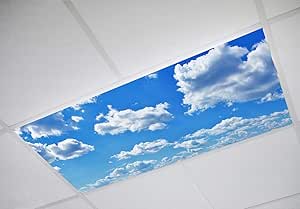 Cloud 001 2x4 Flexible Fluorescent Light Cover, LED Bulbs - Amazon Canada