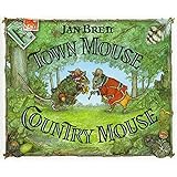 The Town Mouse and the Country Mouse: Helen Ward: 9780763660987: Amazon ...