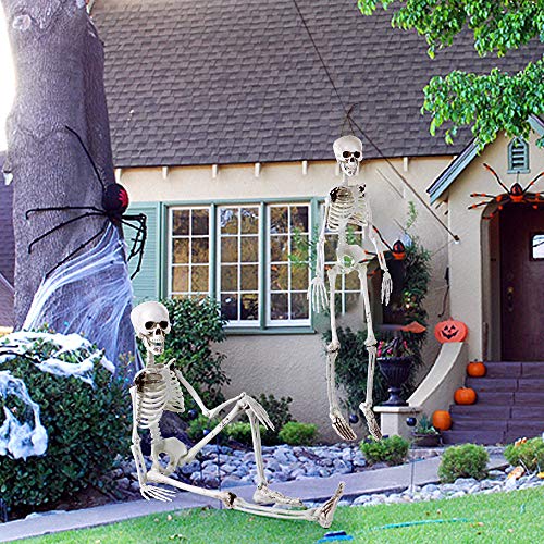 35" Posable Halloween Skeleton,Life Size Plastic Skeleton with - Want ...
