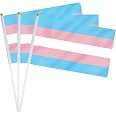Amazon.com : mflagperft Trans Pride Flag Decorations Hand Held Small ...