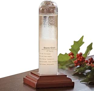 Amazon.com : Bits and Pieces - Admiral Fitzroy Storm Glass - 6-1/2 ...