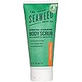 Amazon.com : The Seaweed Bath Co. Hydrating Exfoliating Body Scrub, 6 ...