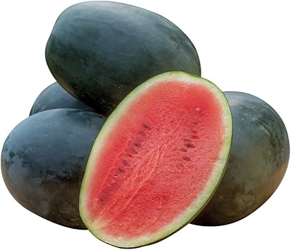 Home & Garden black melon seeds 30 seeds Other Seeds & Bulbs ...