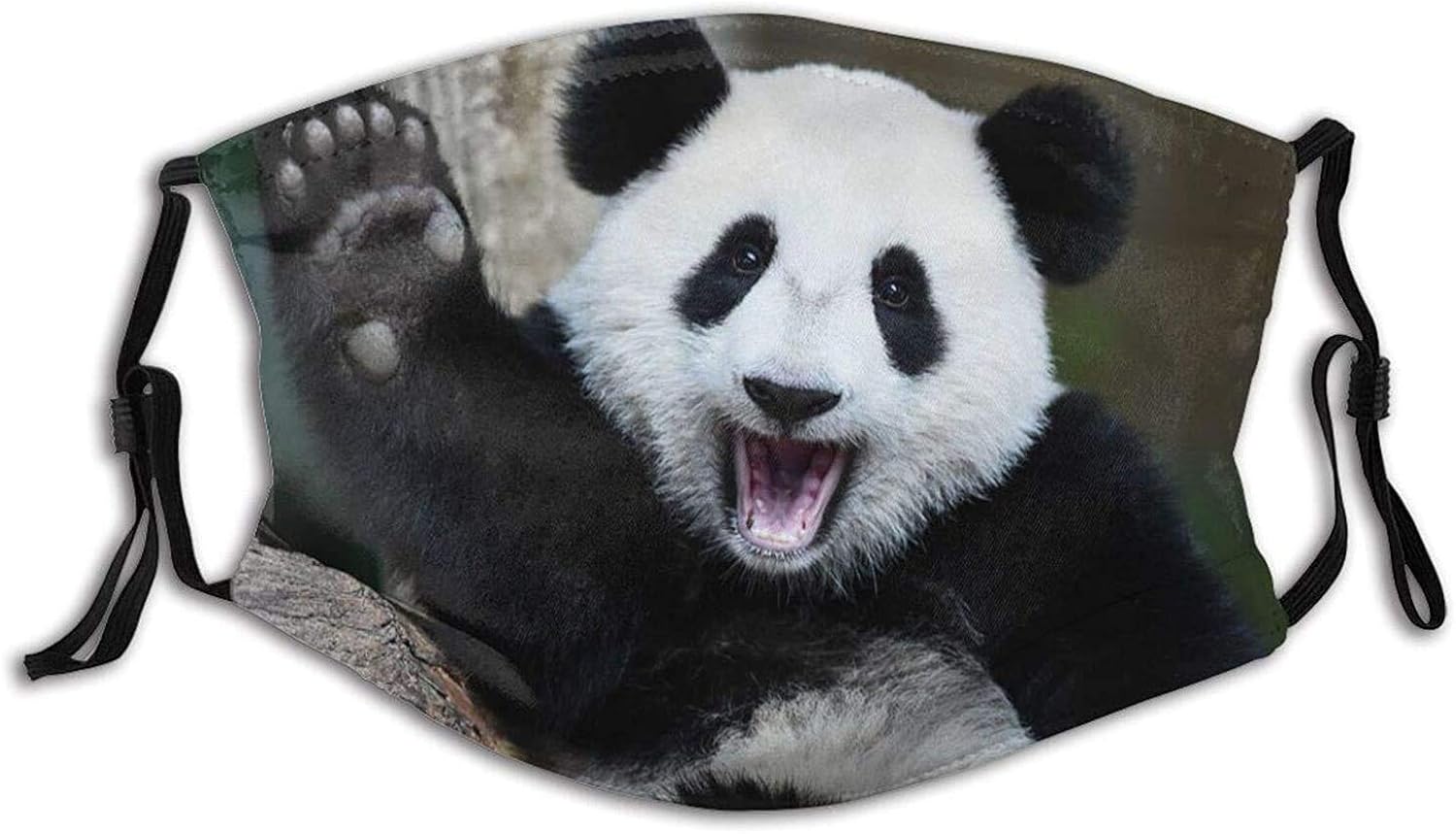 Amazon.com: Face Mouth Mask- Panda Face Mask, |Washable-with 2 Filter ...
