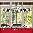 South Carolina Gamecocks Banner String Pennant Flags