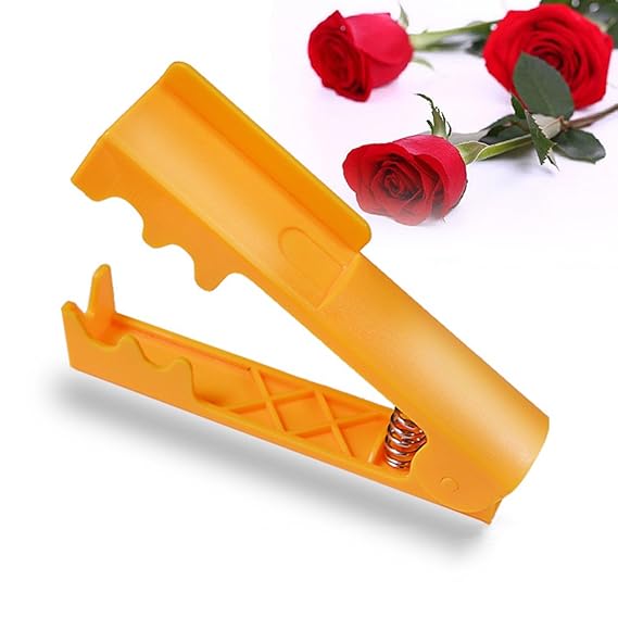 Somedays Garden Florist Rose Flower Pruning Leaf Stripper Stripping ...