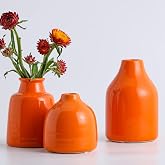 Amazon.com: Red Small Vase Set of 3 for Modern Home Decor,Ceramic Vases ...