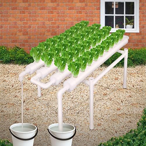 Ryan Hydroponic Grow Kit 1 Layers 36 Holes Plant Sites,Hydroponic ...