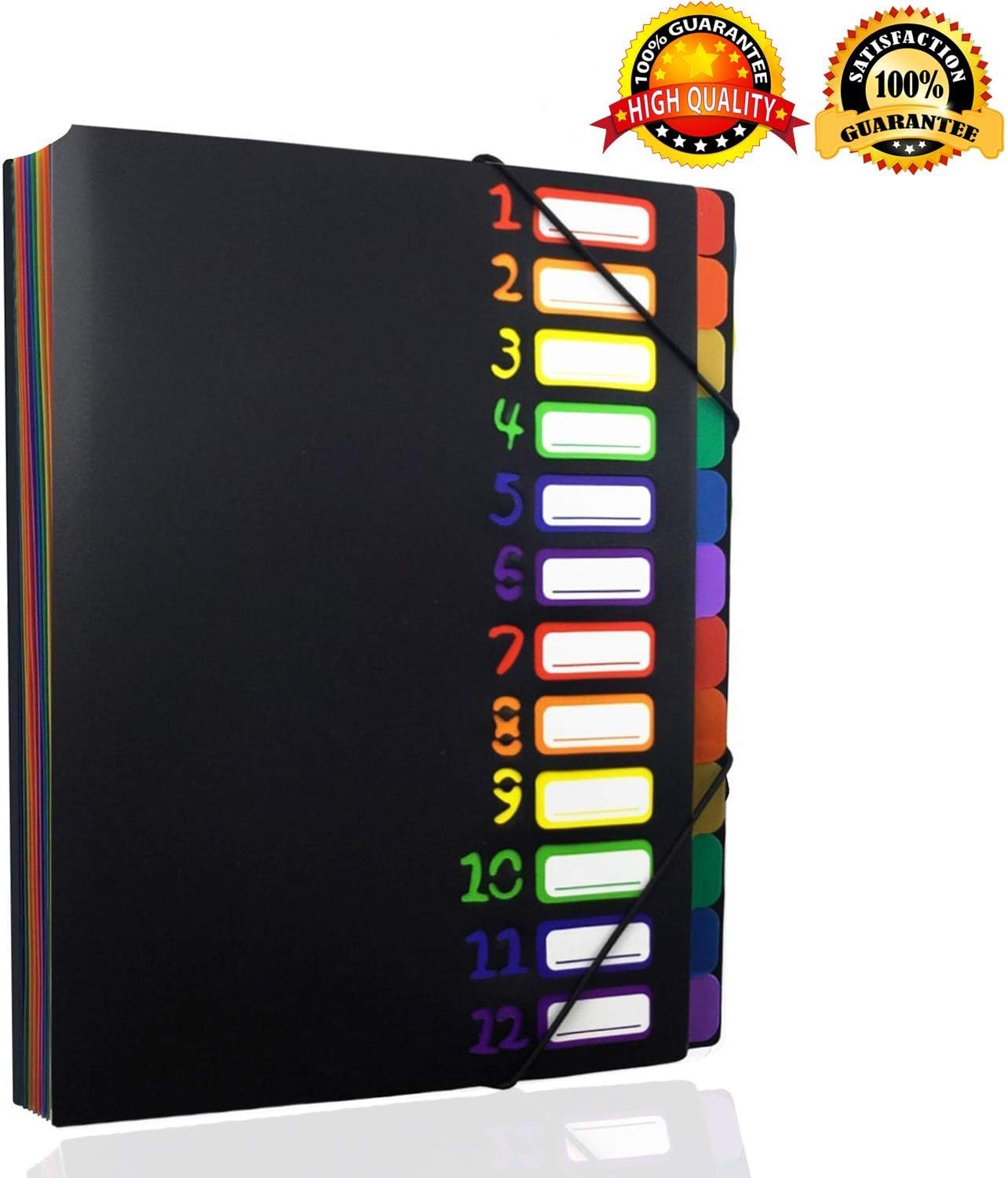 Amazon.com : 12 Pocket Expanding Project Sorter Heavy Duty Plastic ...