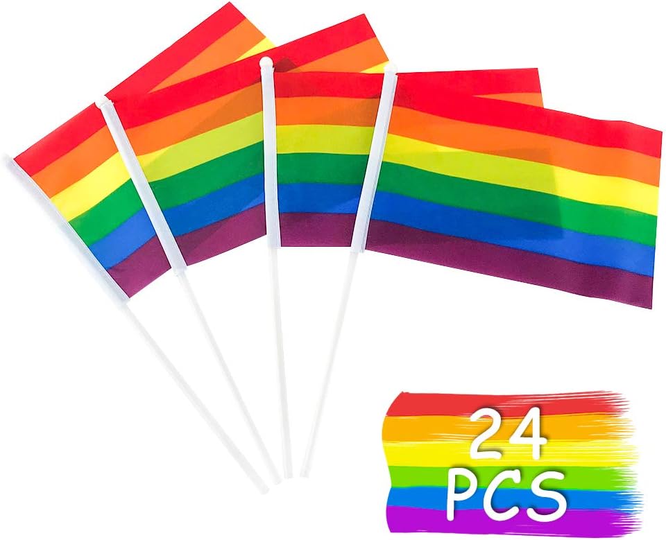 Amazon.com : FUTUREPLUSX Rainbow Stick Flag, 24PCS 5 x 8 inch Mini Gay ...