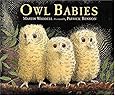 Owl Babies: Waddell, Martin, Benson, Patrick: 9781564029652: Amazon.com ...