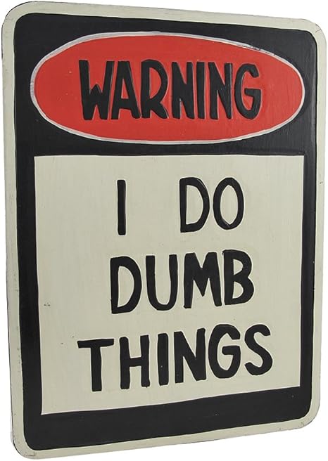 Amazon.com: `Warning- I Do Dumb Things` Wooden Wall Plaque: Home & Kitchen