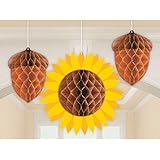 Amazon.com: 3-pack 14 Inch Honeycomb Tissue Paper Acorn Decoration ...