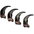 Amazon.com: Lot of 4 LARGE 3 inch Bulk Sythentic Grizzly Bear Claws ...