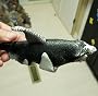Amazon.com: Toysmith Ginormous Grow Shark Toy, Just Add Water ...