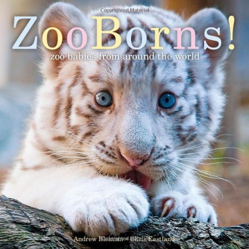 50 Zoo Animal Themed Books for Kids