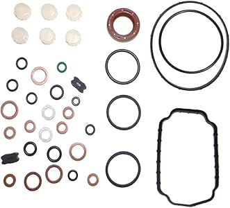 Amazon.com: Injection Pump Rebuild 1467010059 Kit for 5.9 12V 2500 3500 ...