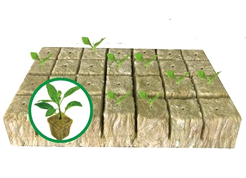 MI0512 1.5” Rockwool Starter Plugs for Hydroponics, Rockwool Grow Cubes ...