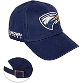 Amazon.com: Desert Cactus Brown University Baseball Hat Bears Brimmed ...