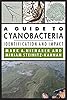 A Guide to Cyanobacteria: Identification and Impact in Kuwait | Whizz ...