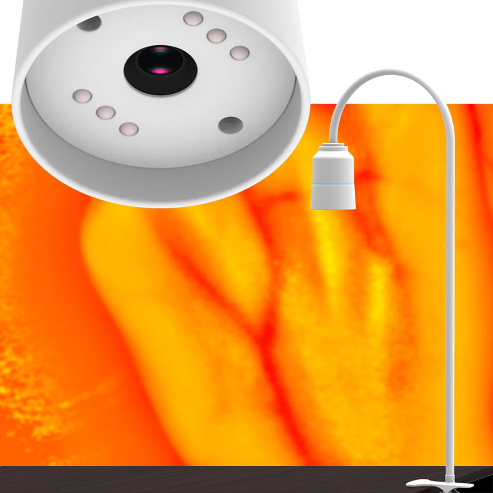 Vein Finder, Portable Blood Vessel Finder, Medical Vein Image Display ...