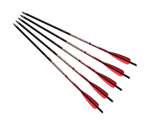 BARNETT Headhunter Crossbow Arrows — Different Pack Sizes, Standard ...
