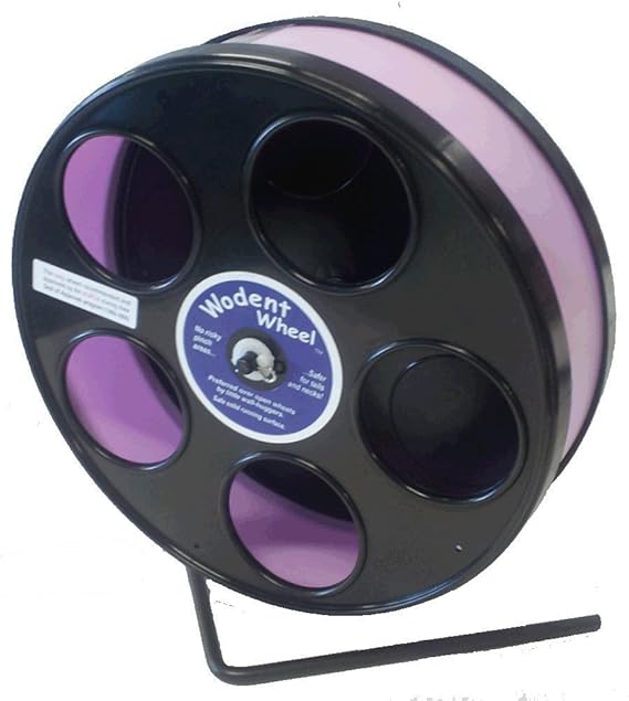 Rodent - Semi-Enclosed Exercise Wodent Wheel 'Jr.' 8" Lavender: Amazon ...