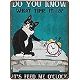Amazon.com: SaNavie Vintage Thick Metal Tin Sign-it's Feed Me O'clock ...