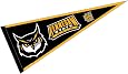 Amazon.com : College Flags & Banners Co. Kennesaw State Owls 12" X 30 ...