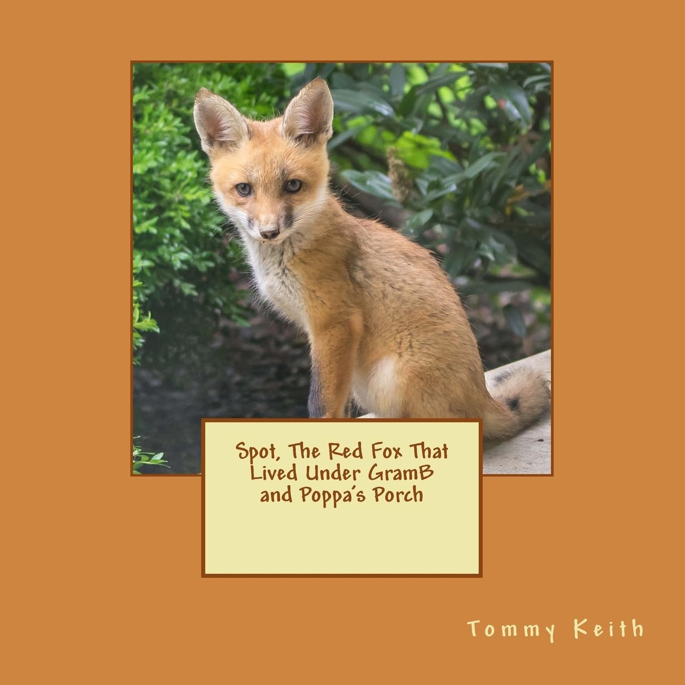 Mua Spot, The Red Fox That Lived Under GramB and Poppa's Porch Spot ...