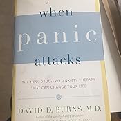 When Panic Attacks: The New, Drug-Free Anxiety Therapy That Can Change Your Life: David D. Burns ...