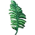 Amazon.com: ID 7181 Lot of 2 Tropical Fern Patch Plant Branch Leaf ...