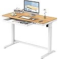 Amazon.com: FLEXISPOT Comhar Electric Standing Desk with Drawers ...