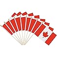 Amazon.com : GSYLPFT 12 Pack Canadian Flags on Sticks Canada Small Mini ...