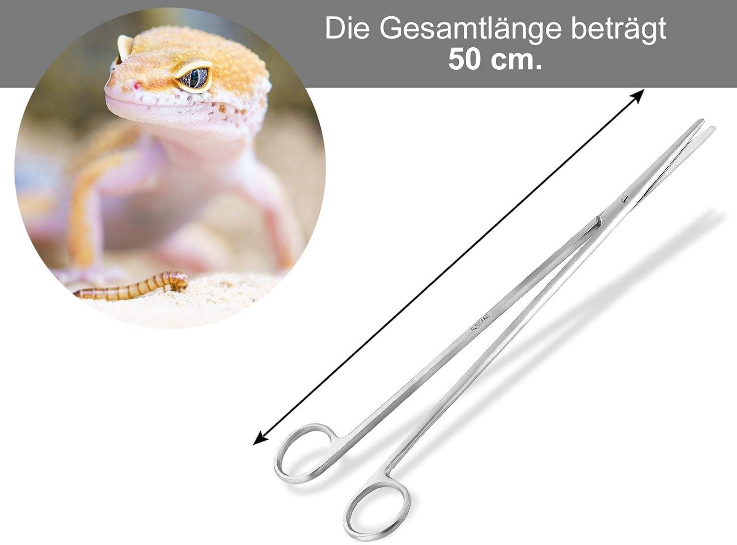 Professional Aquarium Terrarium Plant Scissors Stainless Steel Straight ...